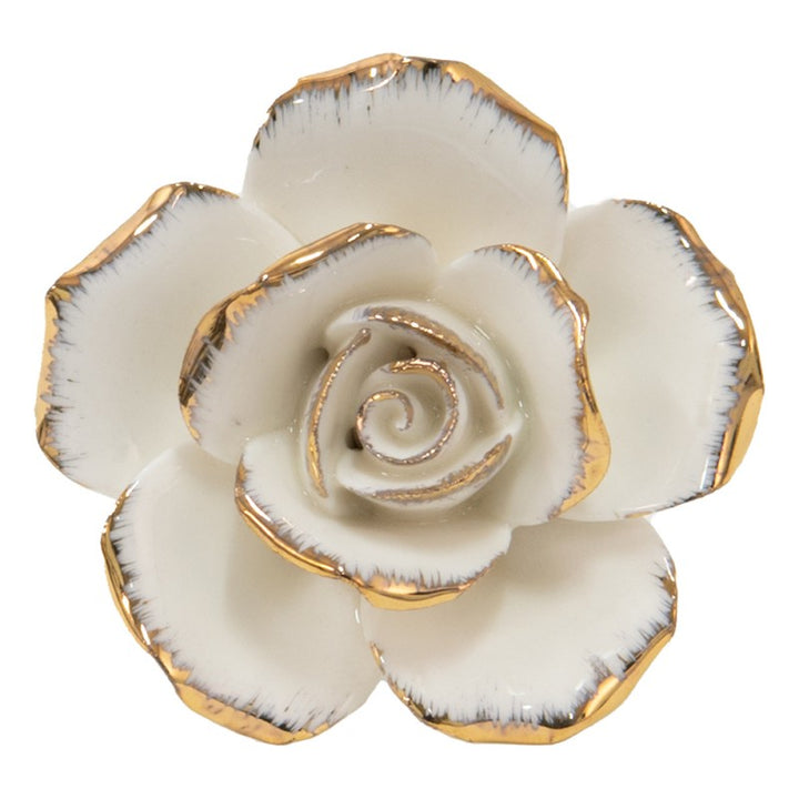Pomelli – The Original Shabby